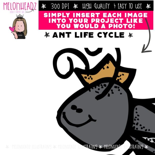Ant Life Cycle clip art, Ant Hill clip art COMBO PACK - Melonheadz