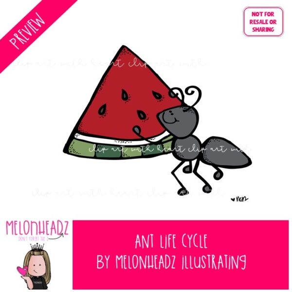 Ant Life Cycle clip art, Ant Farm clip art COLORED Version - Melonheadz