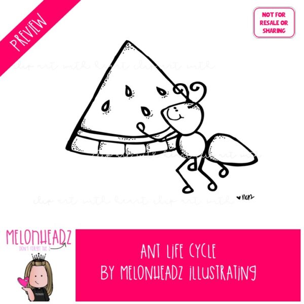 Ant Life Cycle clip art, Ant Farm clip art LINE ART and BLACK AND WHITE ...