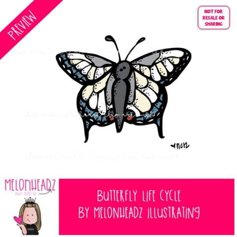 Butterfly Life Cycle clip art Butterfly clip art COLORED Version ...