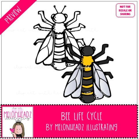 Bee Life Cycle clipart MINI - Melonheadz