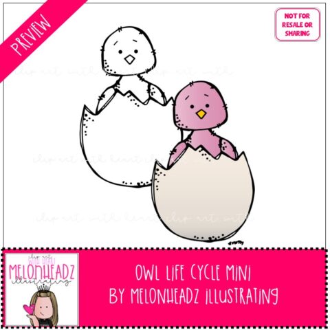 Owl Life Cycle clip art Mini - Melonheadz